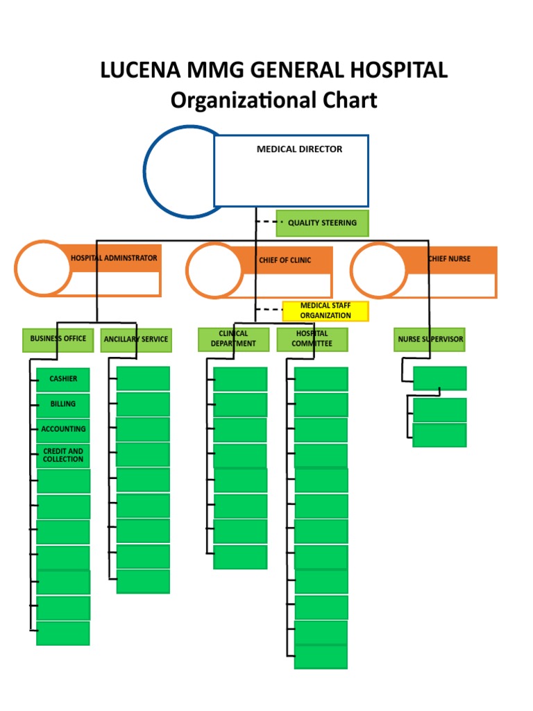Hospital Organizational Chart | PDF | Self-Improvement | Wellness