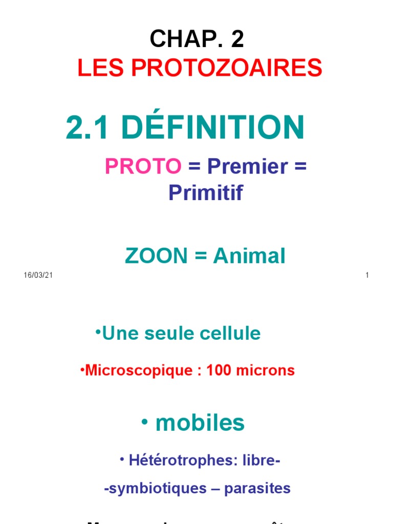 Protozoaires : Classification et Caractéristiques | PDF | Plasmodium ...