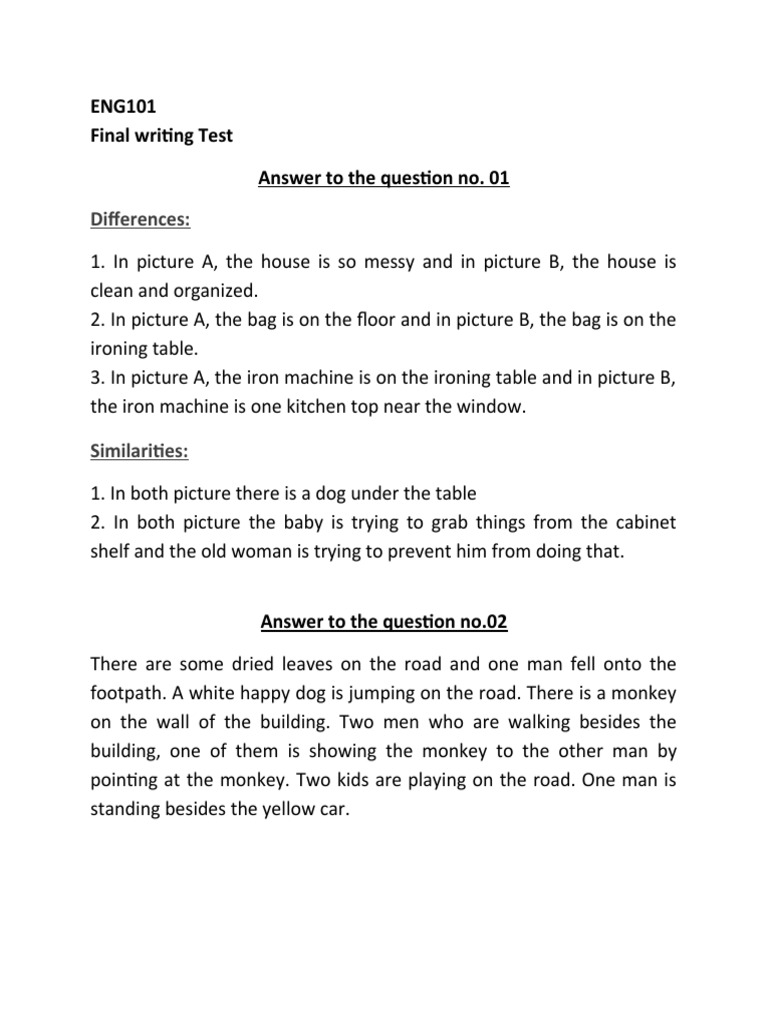 ENG101 Final Test: Picture Analysis | PDF