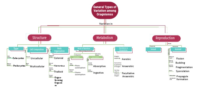 Concept Map | PDF | Cell (Biology) | Systems Biology