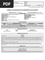 Formato Rips Diligenciar en Excel | PDF | Informática | Business