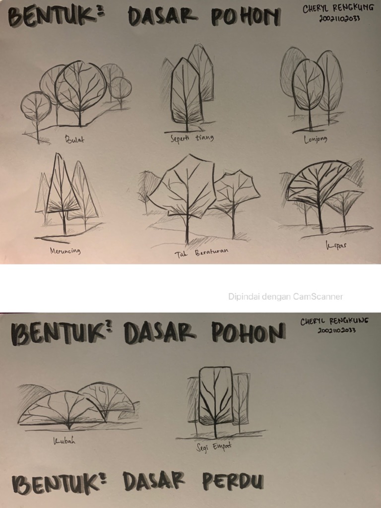Sketsa Pohon Dan Perdu | PDF