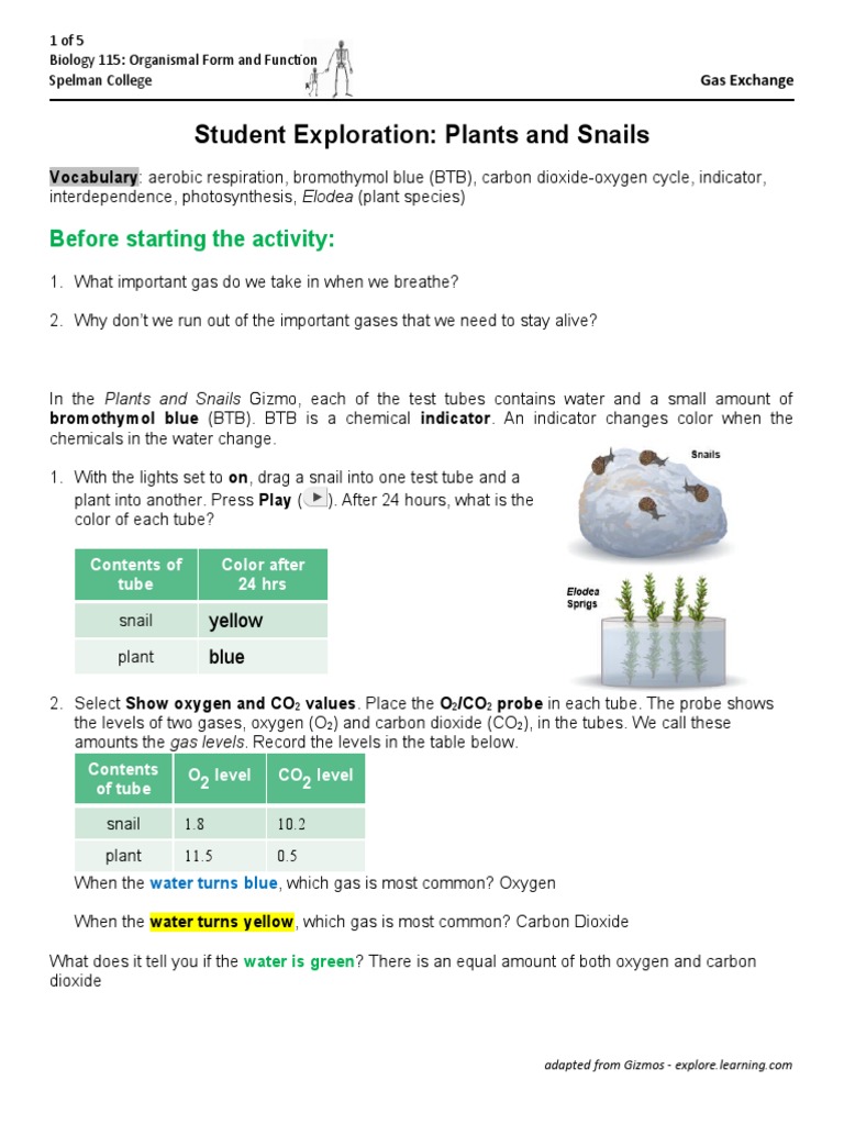 Bio115-21 Plants and Snails - FINAL | PDF | Carbon Dioxide | Photosynthesis