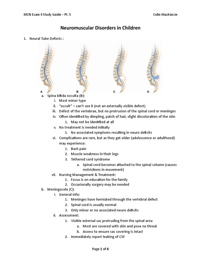 MCN Exam 4 Study Guide - Pt. 5 Neuromusclar Disorders in Children | PDF | Vertebral Column ...