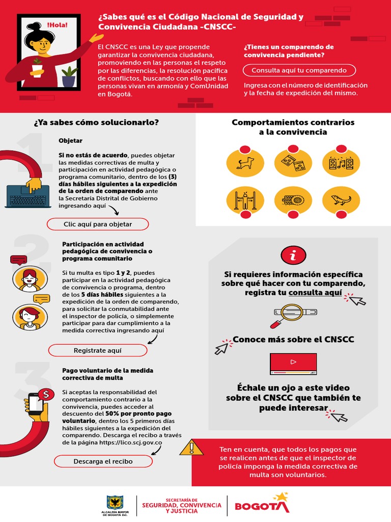 2810 Infografia Sabes Qué Es El CNSCC | PDF | Policía | Business
