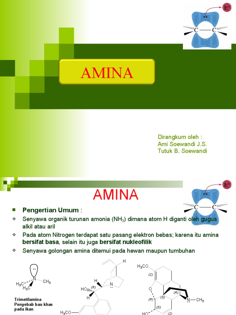 03 - Amina | PDF