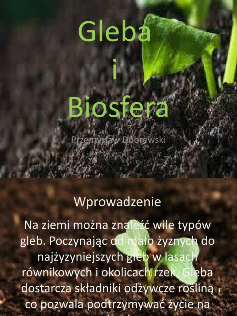 Gleba (Prezentacja) | PDF
