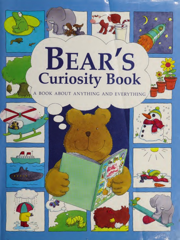 Bears Curiosity Book | PDF | Curiosity | Mud