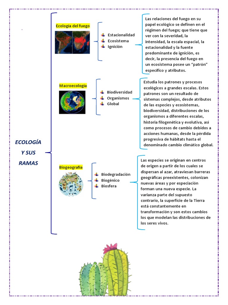 Ecología y Sus Ramas | PDF | Ecología | Organismos