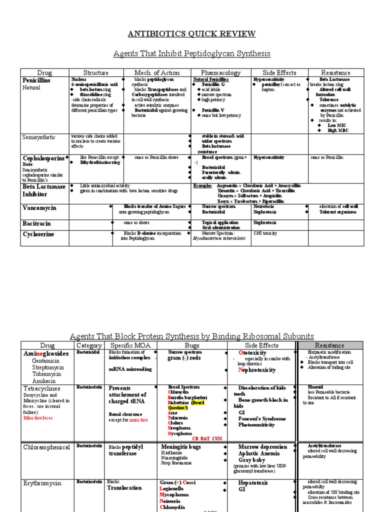 Antibiotics Overview & Mechanisms | PDF | Penicillin | Beta Lactamase