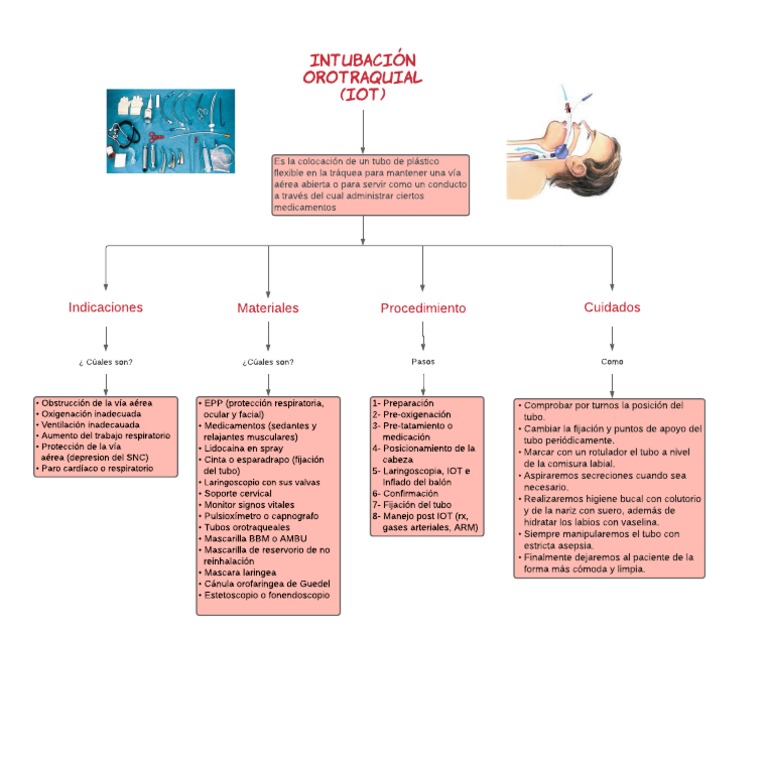 Mapa Conceptual IOT | PDF | Medicina | Medicina CLINICA