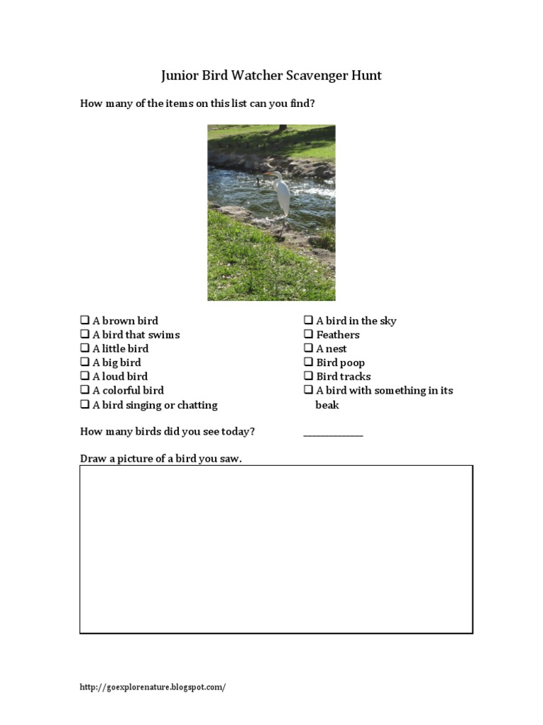 Bird Watching Scavenger Hunt | PDF