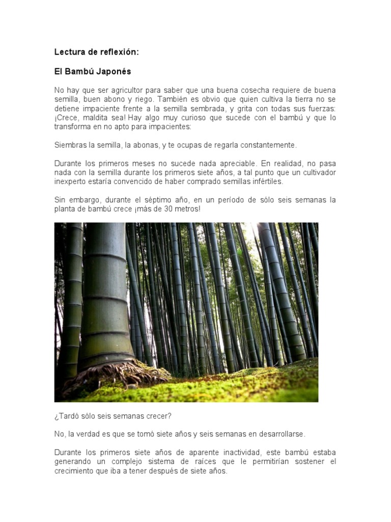 Lectura de Reflexión #3 | PDF