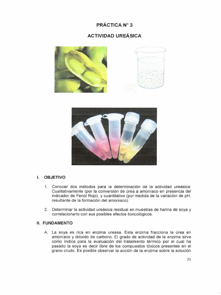 Determinacion Actividad Ureasica | PDF | Solución tampón | Amoníaco