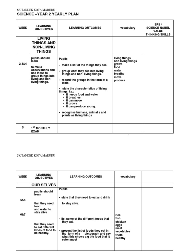 Science Year 2 | PDF | Foods | Plants