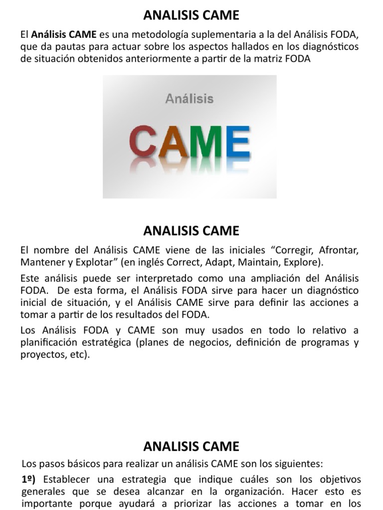 Guía paso a paso para realizar un análisis CAME completo basado en los ...