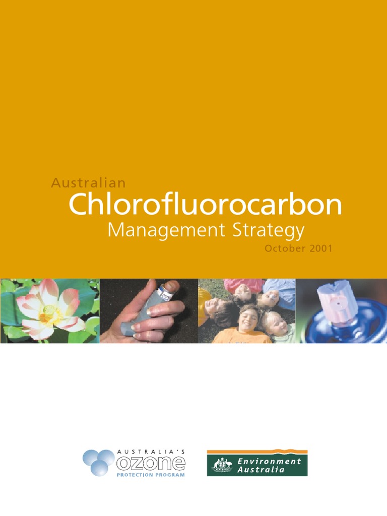 Chlorofluorocarbon: Management Strategy | PDF | Chlorofluorocarbon ...
