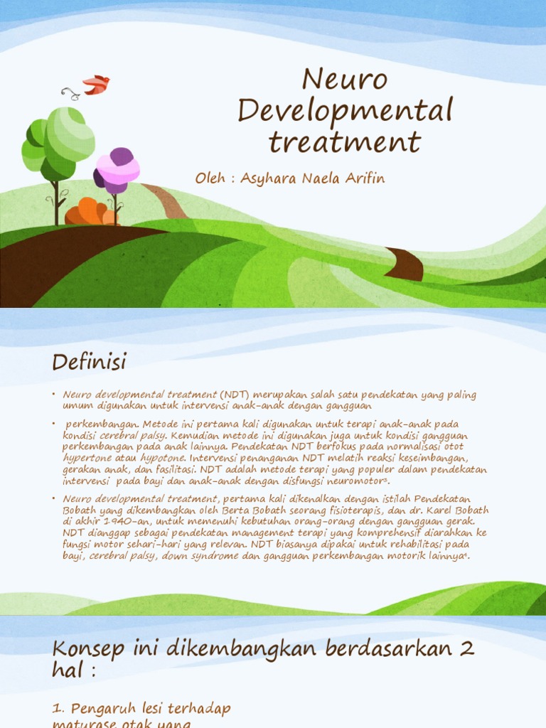NDT Neuro Development | PDF