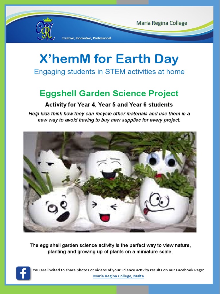 Egg Shell Garden Project | PDF | Science & Mathematics
