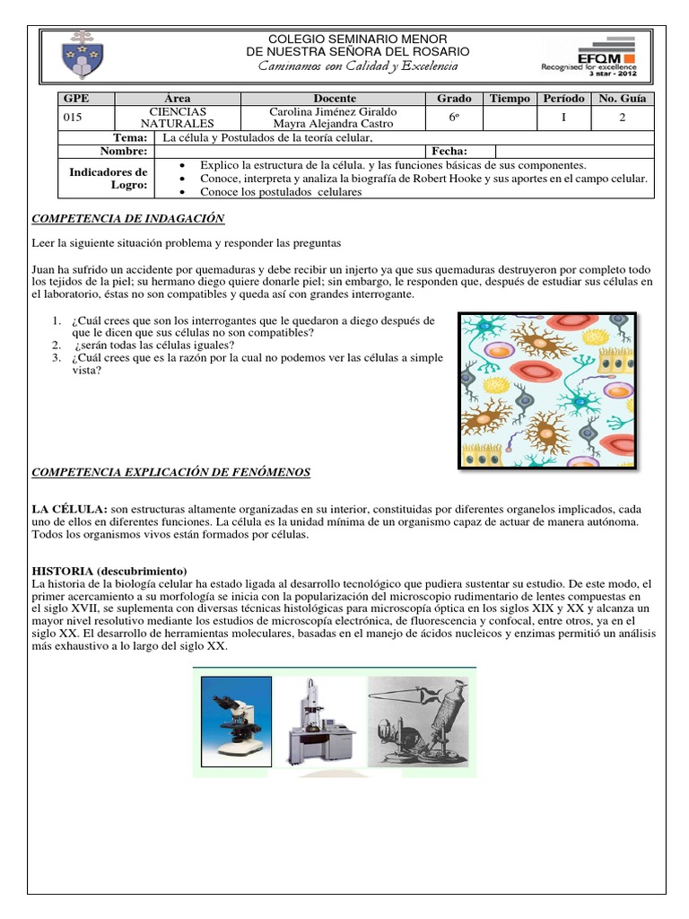 Guia 2 Celula y Postulados de La Teoria Celular | PDF | Procariota ...