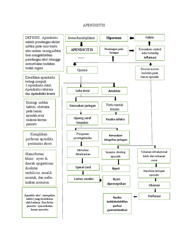 LP Apendisitis | PDF