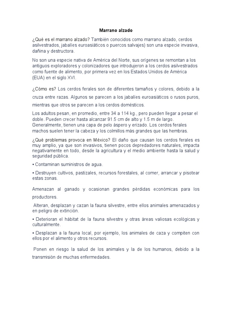 Marrano Alzado | PDF