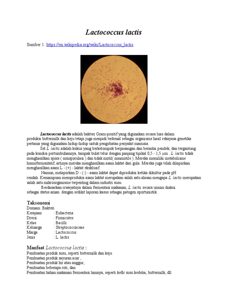 Lactococcus Lactis Fix 1 | PDF