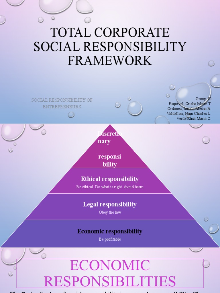 Total Corporate Social Responsibility Framework | PDF | Corporate ...