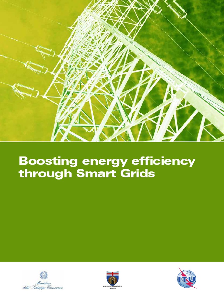 Smart Grids for Energy Efficiency | PDF | Greenhouse Gas | Electrical Grid