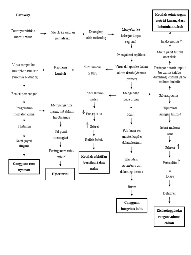 Pathway Campak | PDF