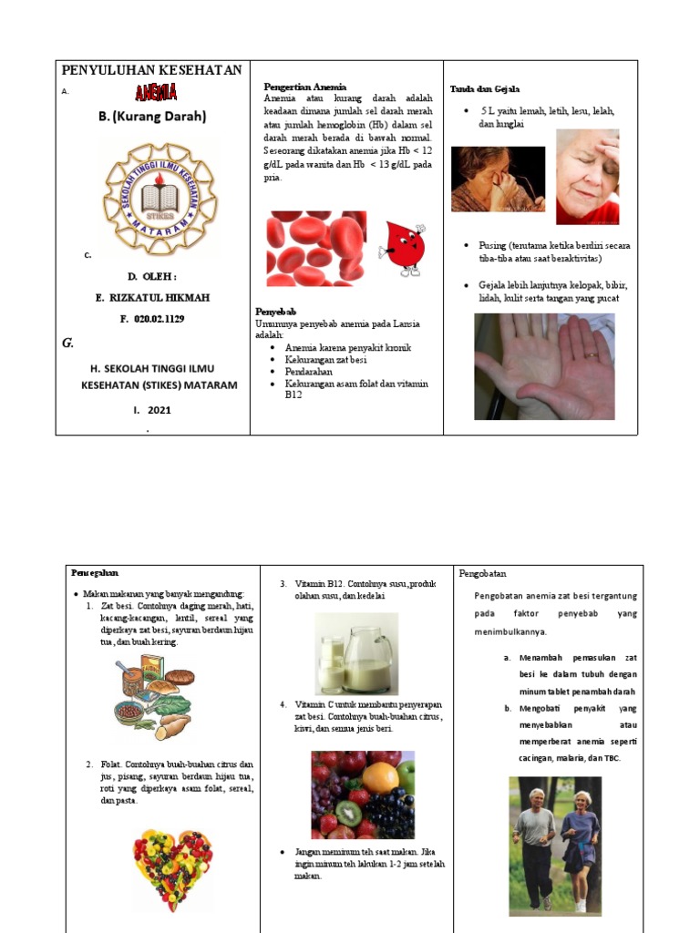 Panduan Anemia: Penyebab dan Pencegahan | PDF