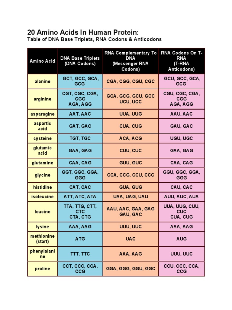 Anticodon Chart