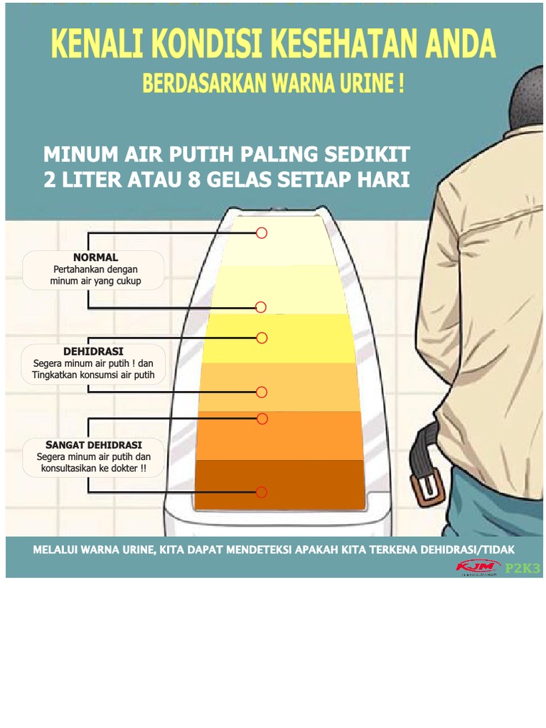 Kenali Warna Urine untuk Kesehatan | PDF