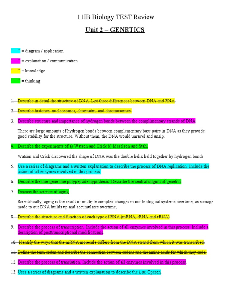 Genetics Unit Test Review | PDF | Dna | Genetics
