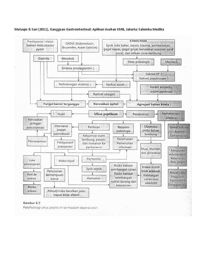 3 - WOC Ulkus Peptikum | PDF