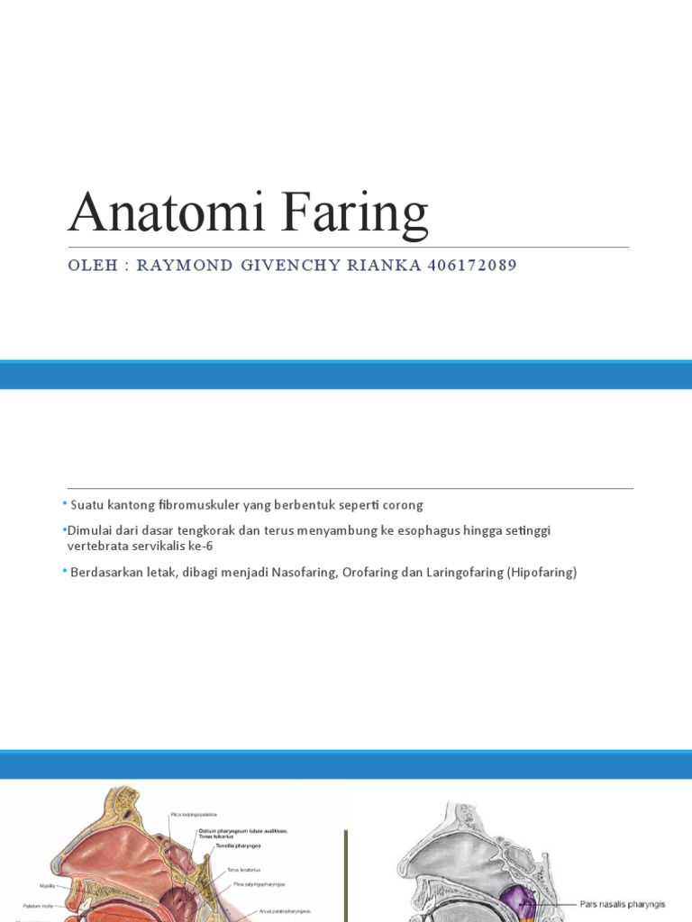 Anatomi Faring | PDF