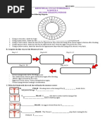 Male and Female Reproductive System Quiz | PDF | Reproductive System ...