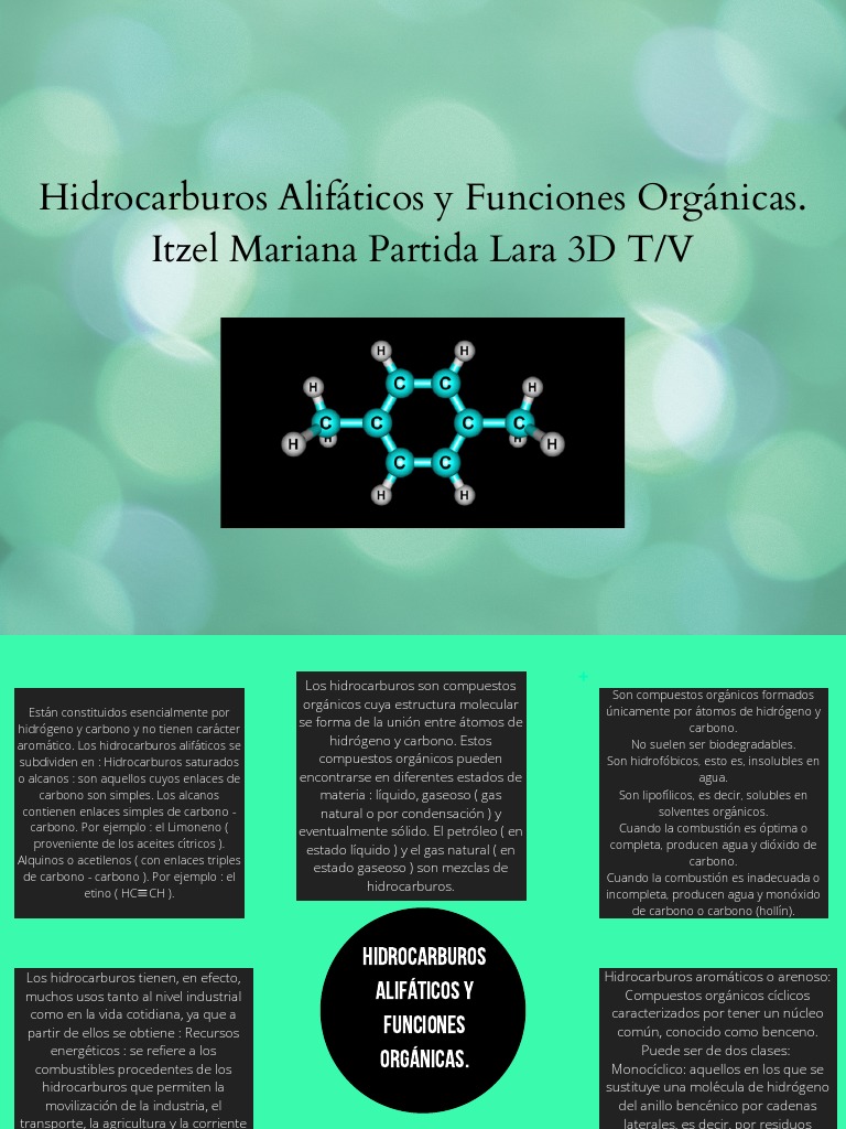 Hidrocarburos Alifáticos y Funciones Organicas 1 | PDF | Hidrocarburos ...