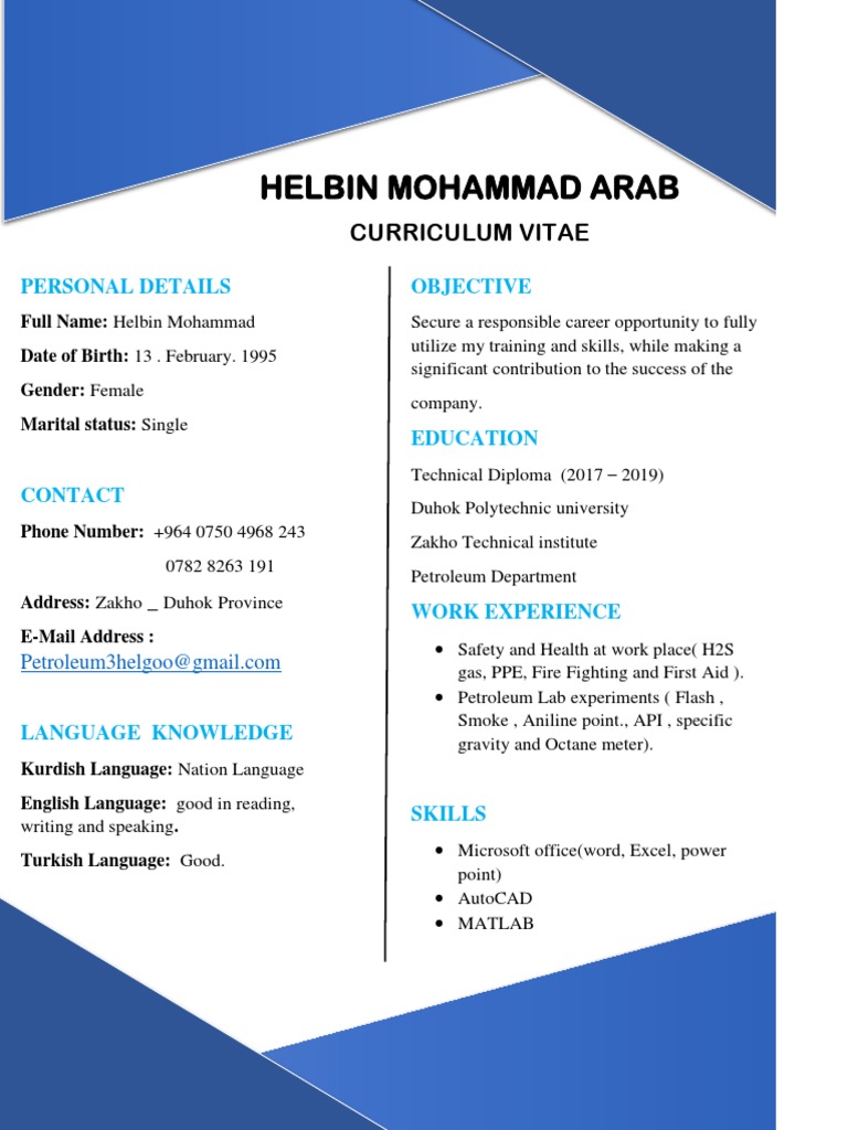 Helbin Mohammad Arab: Curriculum Vitae | PDF