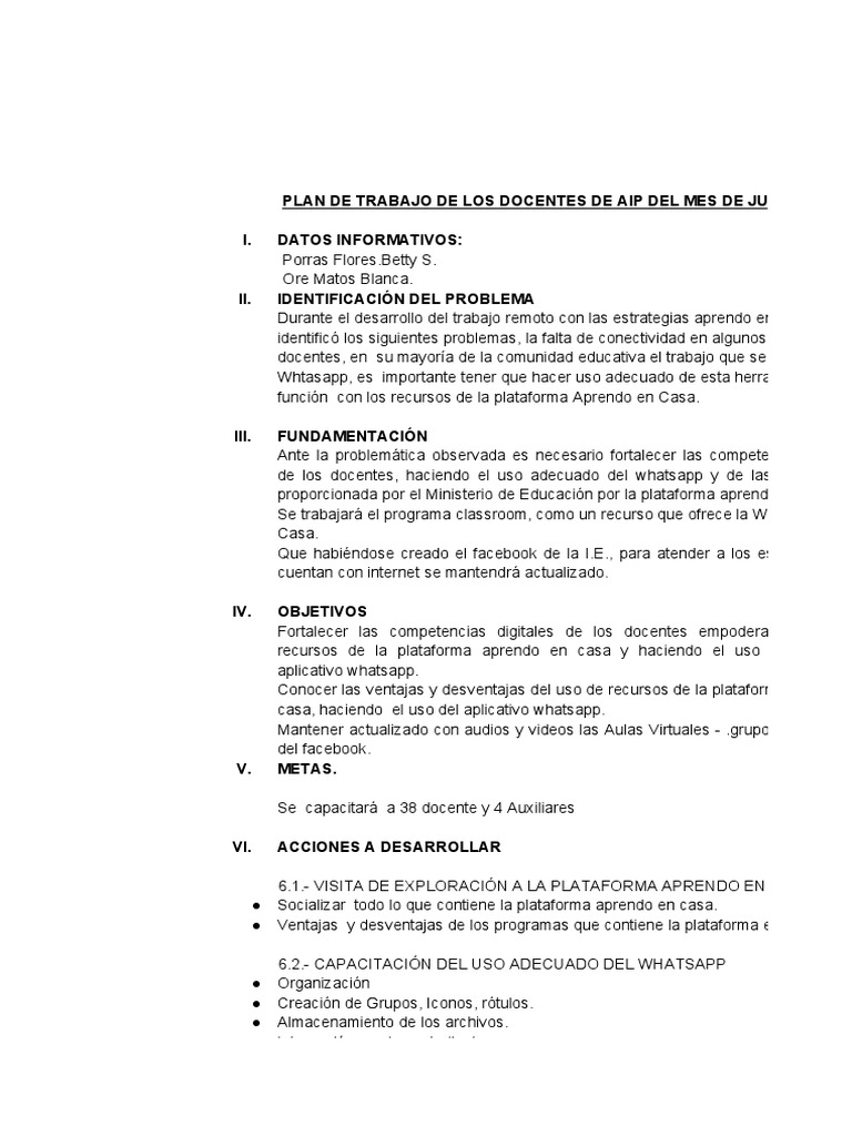 Plan de Trabajo Aip. 2021. | PDF