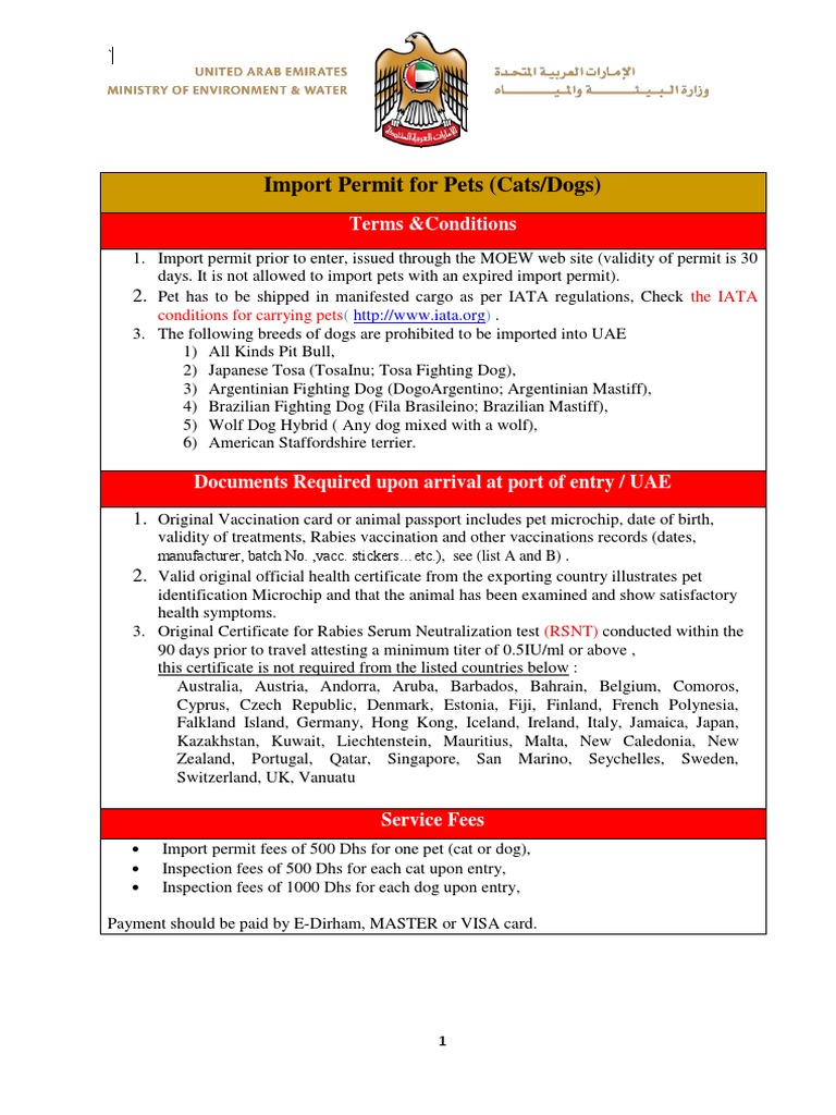 Import A Cat To Dubai | PDF | Animals And Humans | Dogs