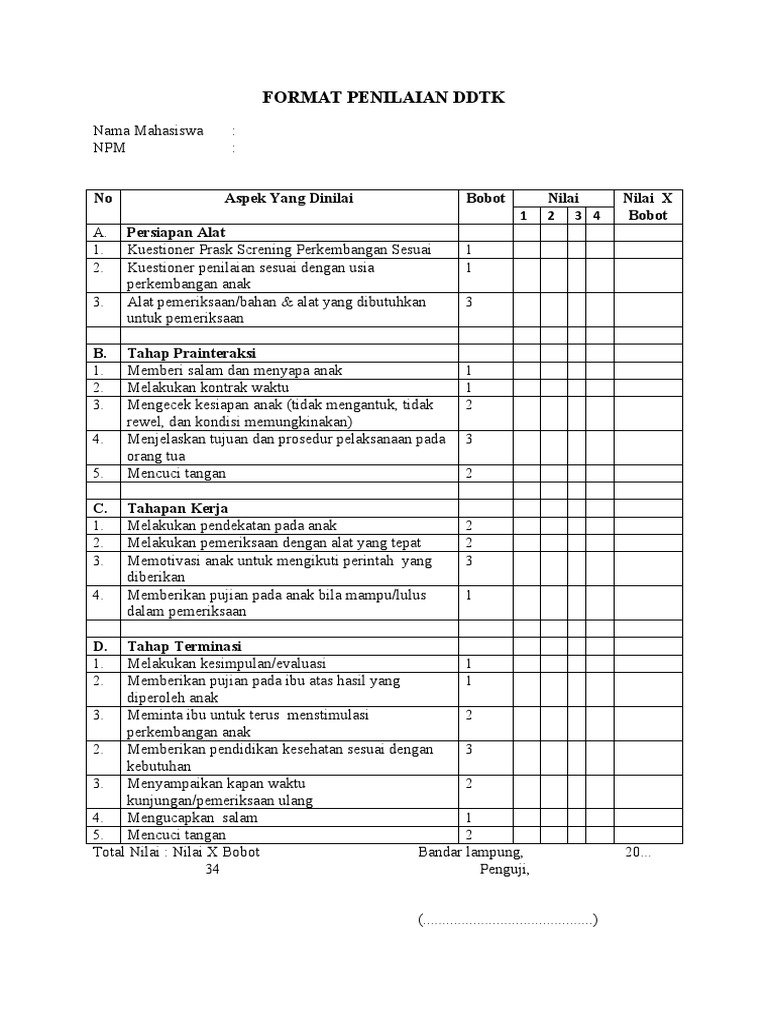 Format Penilaian DDTK | PDF