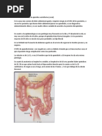 Anatomía y fisiología del apéndice | PDF | Intestino grueso | Tracto ...