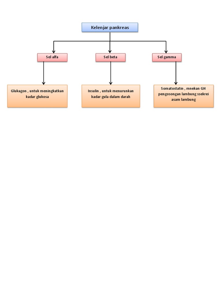 Sel Gamma Pankreas dan Fungsinya | PDF