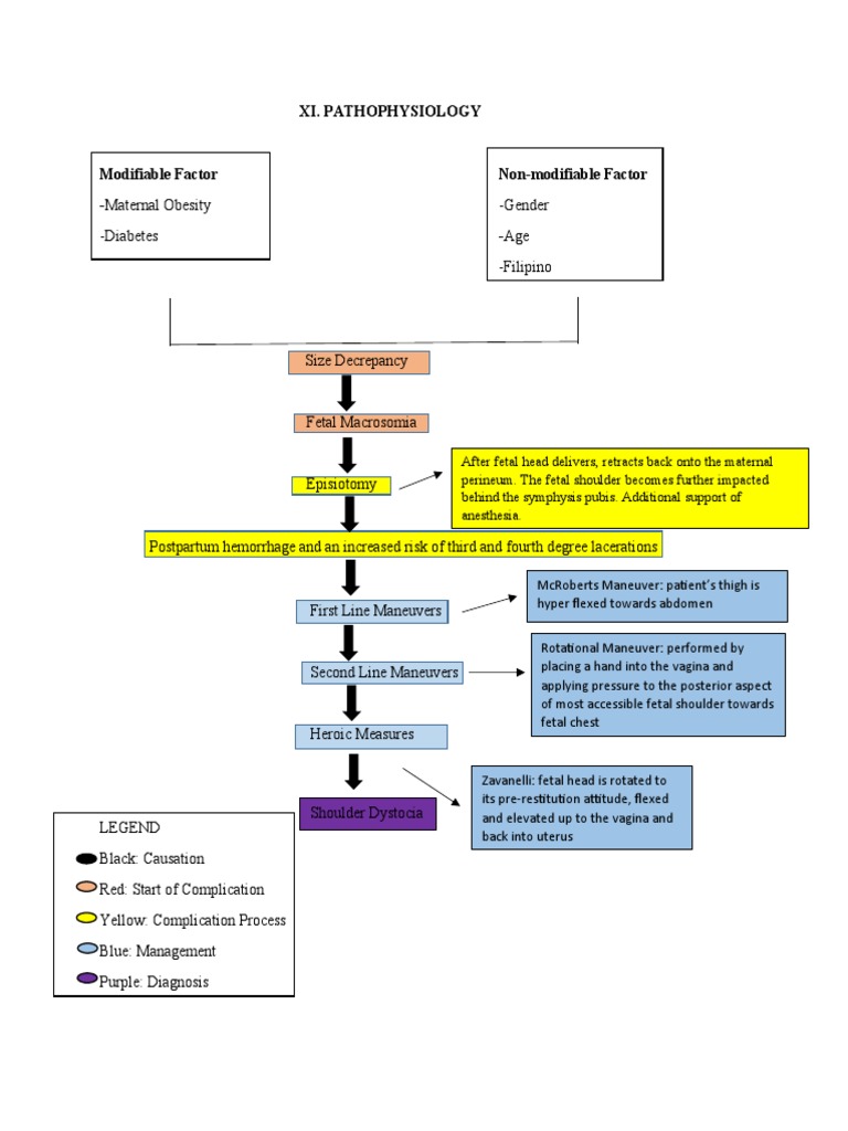 Pathophysio Revised | PDF