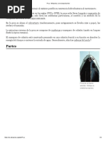 Definición y tipos de popa en barcos | PDF | Barcos | Crucero