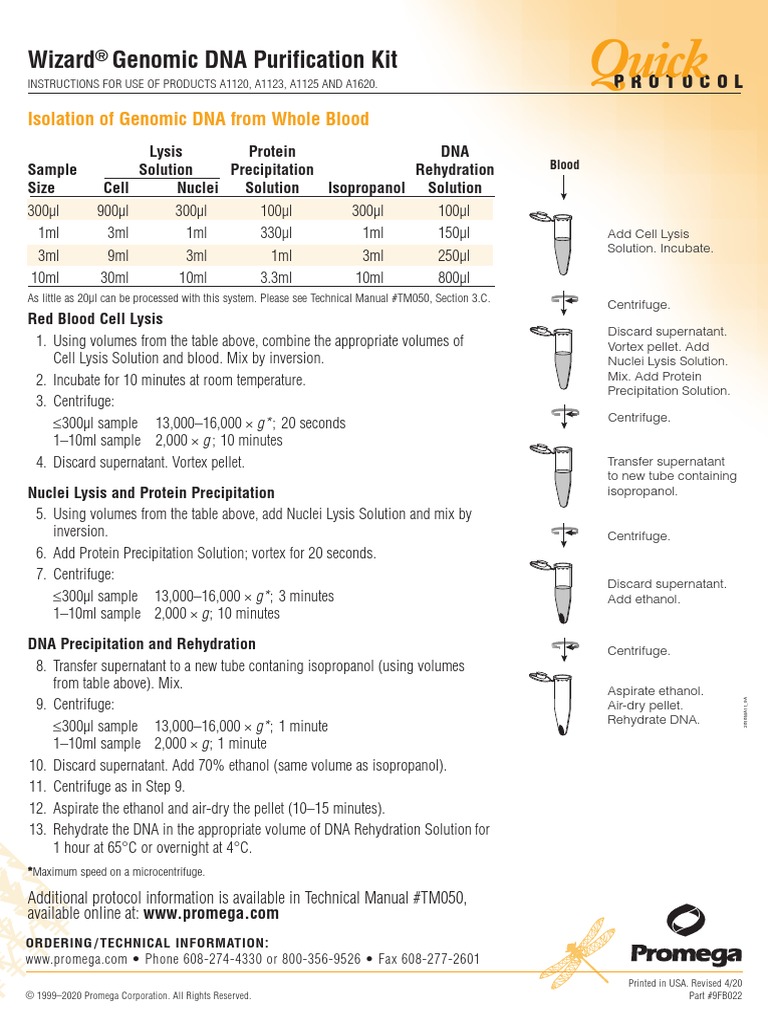 Wizard Genomic DNA Purification Kit | PDF | Lysis | Precipitation ...