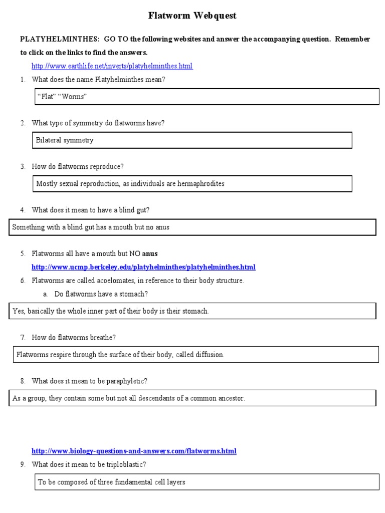 Sean Burke - Online Flatworm Webquest | PDF | Protostomes | Anatomy
