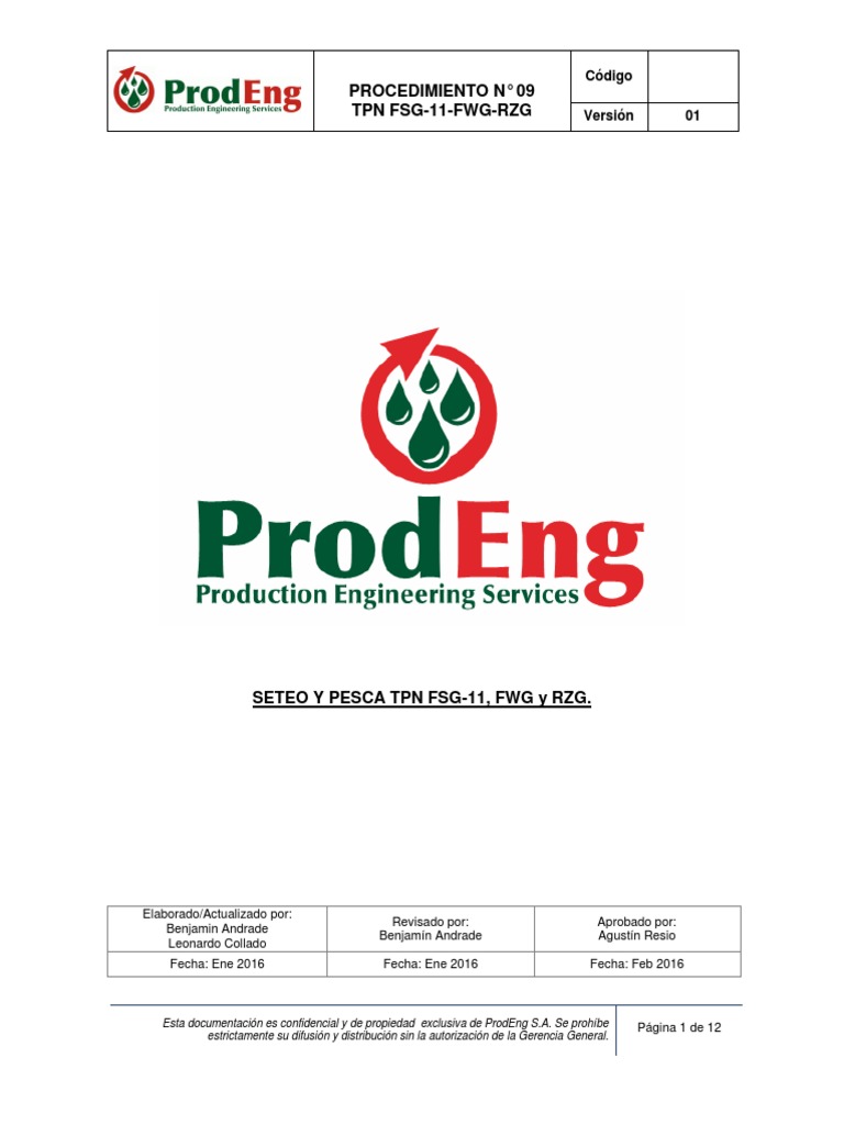 09 Procedimiento #09 Tapones FSG-11-FWG-RZG | PDF | Naturaleza