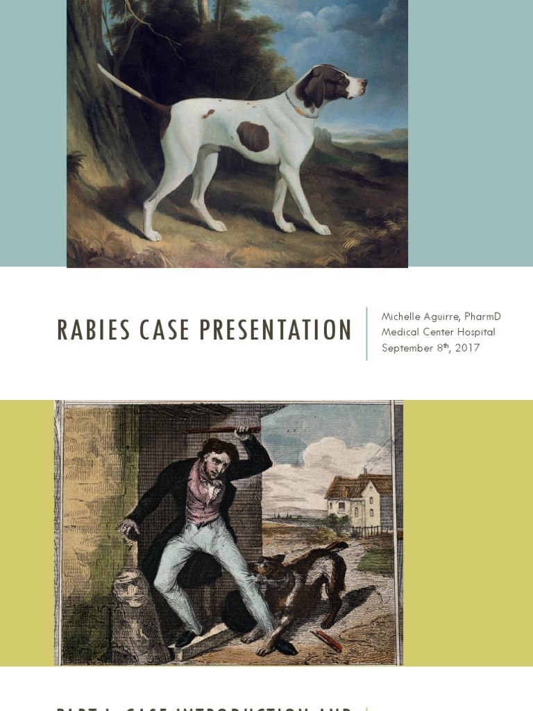 Patient Case Presentation Rabies 28EM29 | PDF | Rabies | Vaccines